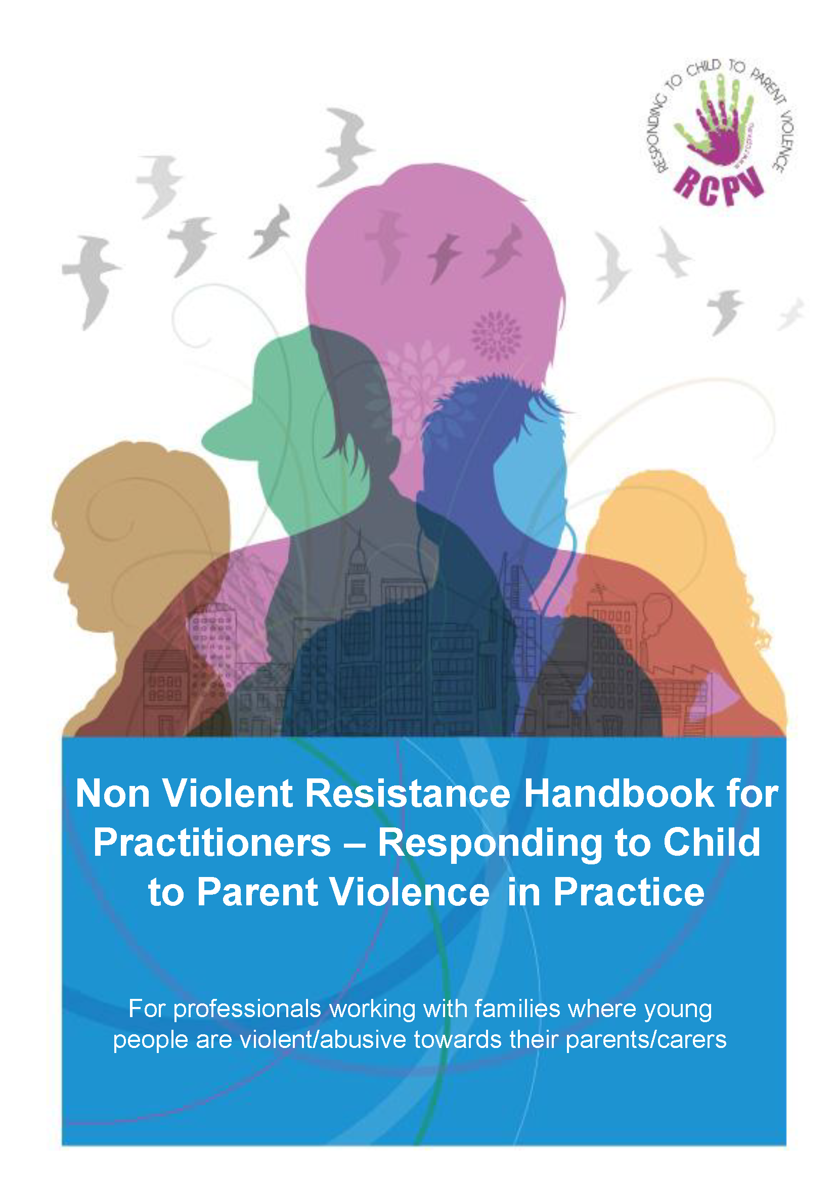 NVR Ireland – Addressing child to parent violence and abuse in Ireland